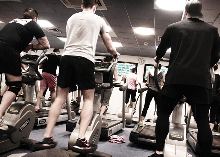 What do the training zones mean?